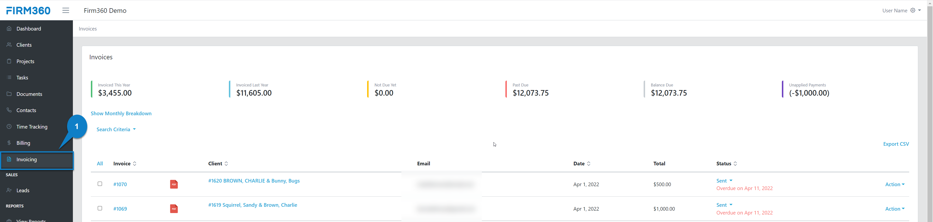 Invoice Search Criteria - Viewed/Unviewed by Client – Firm360